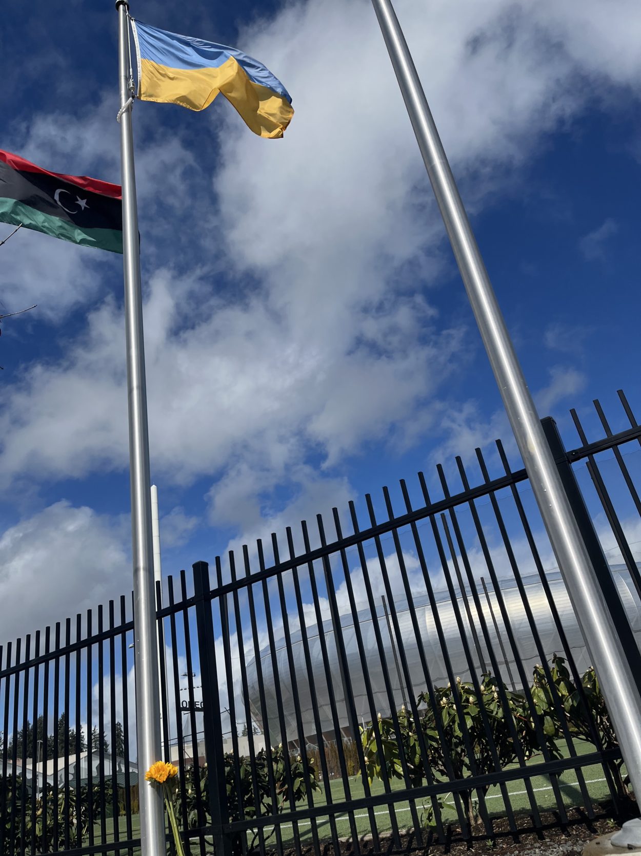 Standing for the Flag – Eugene Weekly