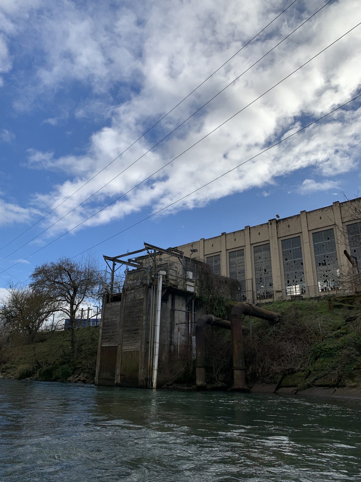 ‘Anthropogenic Decline’ – Eugene Weekly