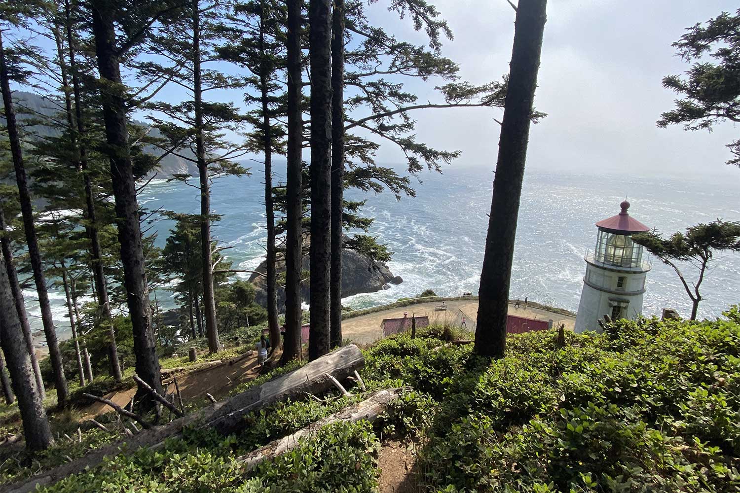 The Ponsler Way to Heceta Head – Eugene Weekly