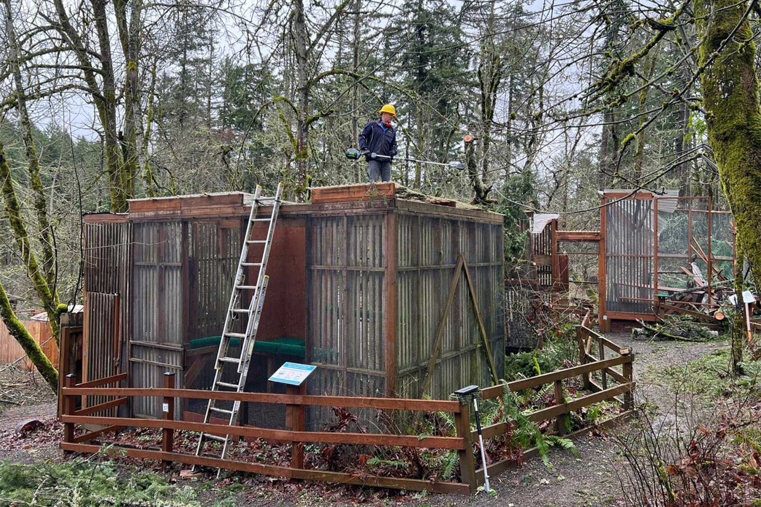 Cascades Raptor Center Soars Again – Eugene Weekly