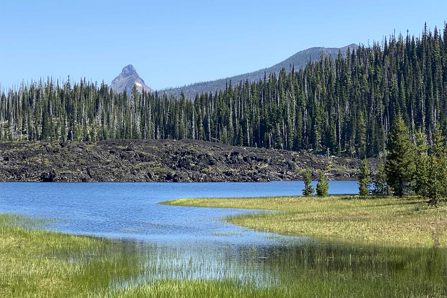 Passless at the Pass – Eugene Weekly