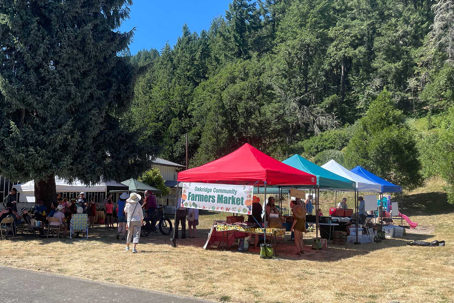 Farmers Markets Don’t Just Happen – Eugene Weekly