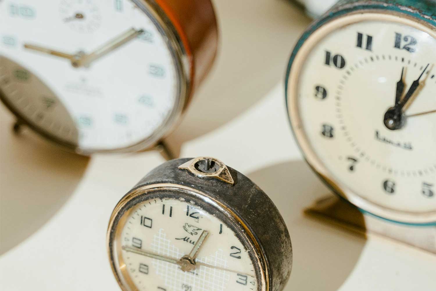 Time to Pick a Dilly – Eugene Weekly