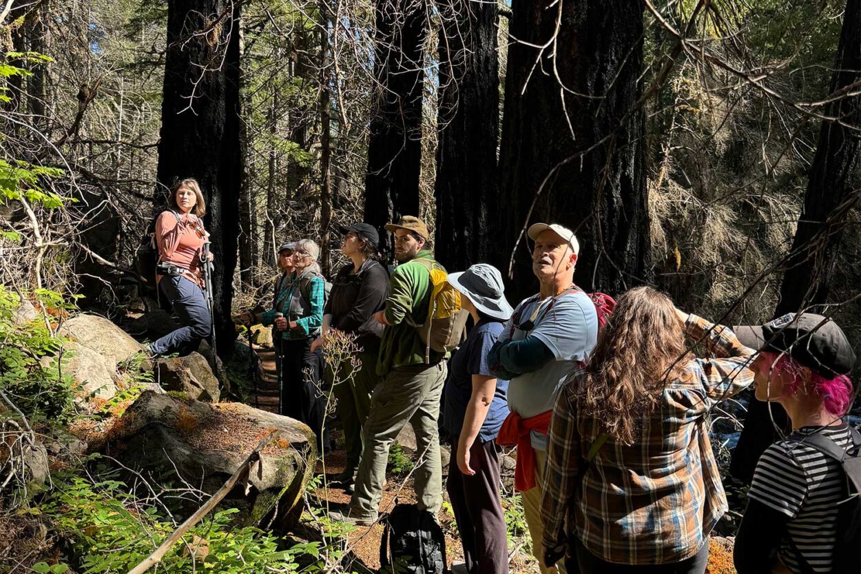 Giving Guide! – Eugene Weekly