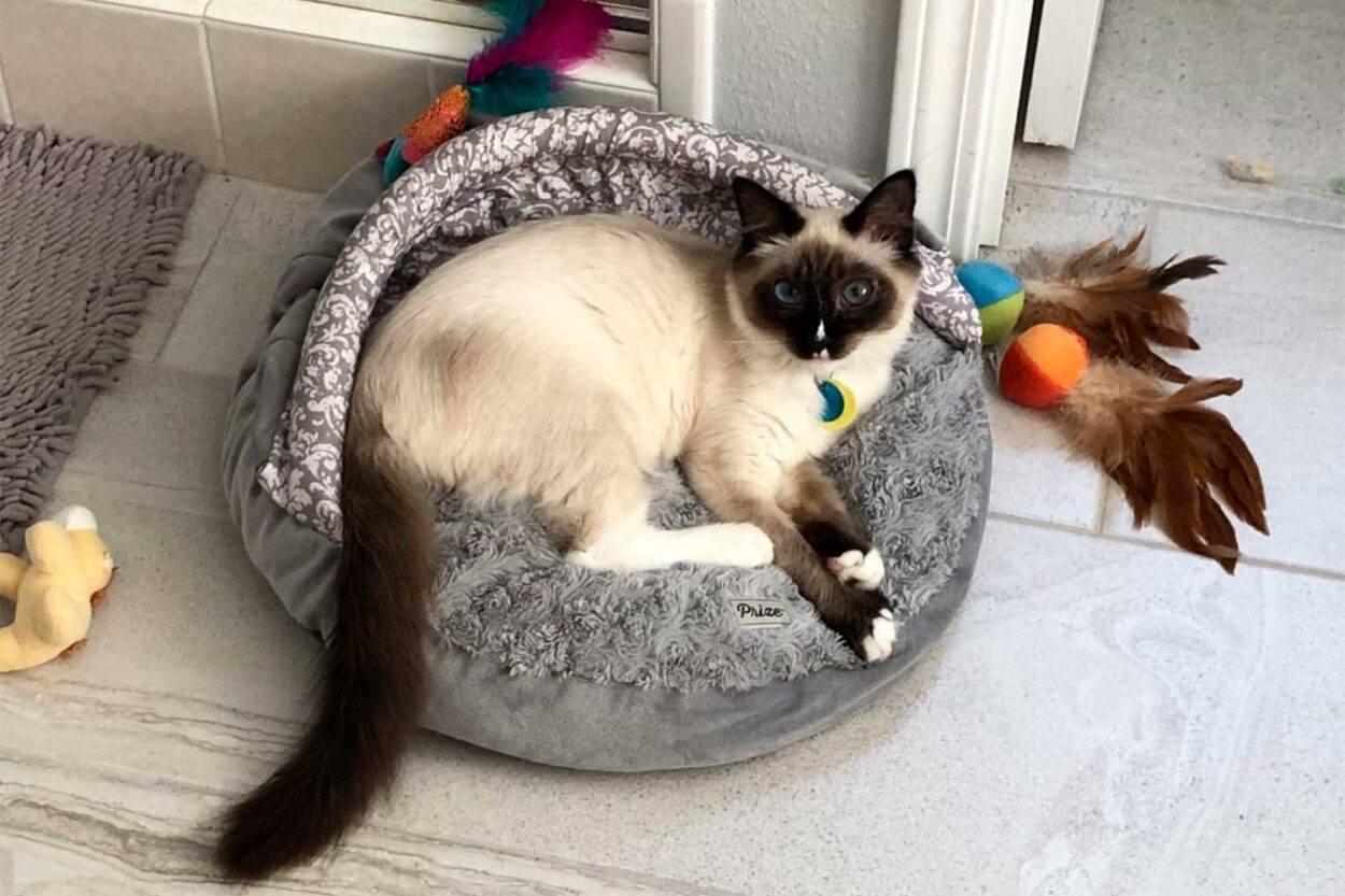 Giving Guide! – Eugene Weekly