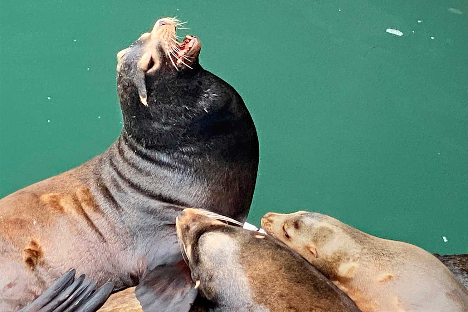 Old Port, Newport – Eugene Weekly