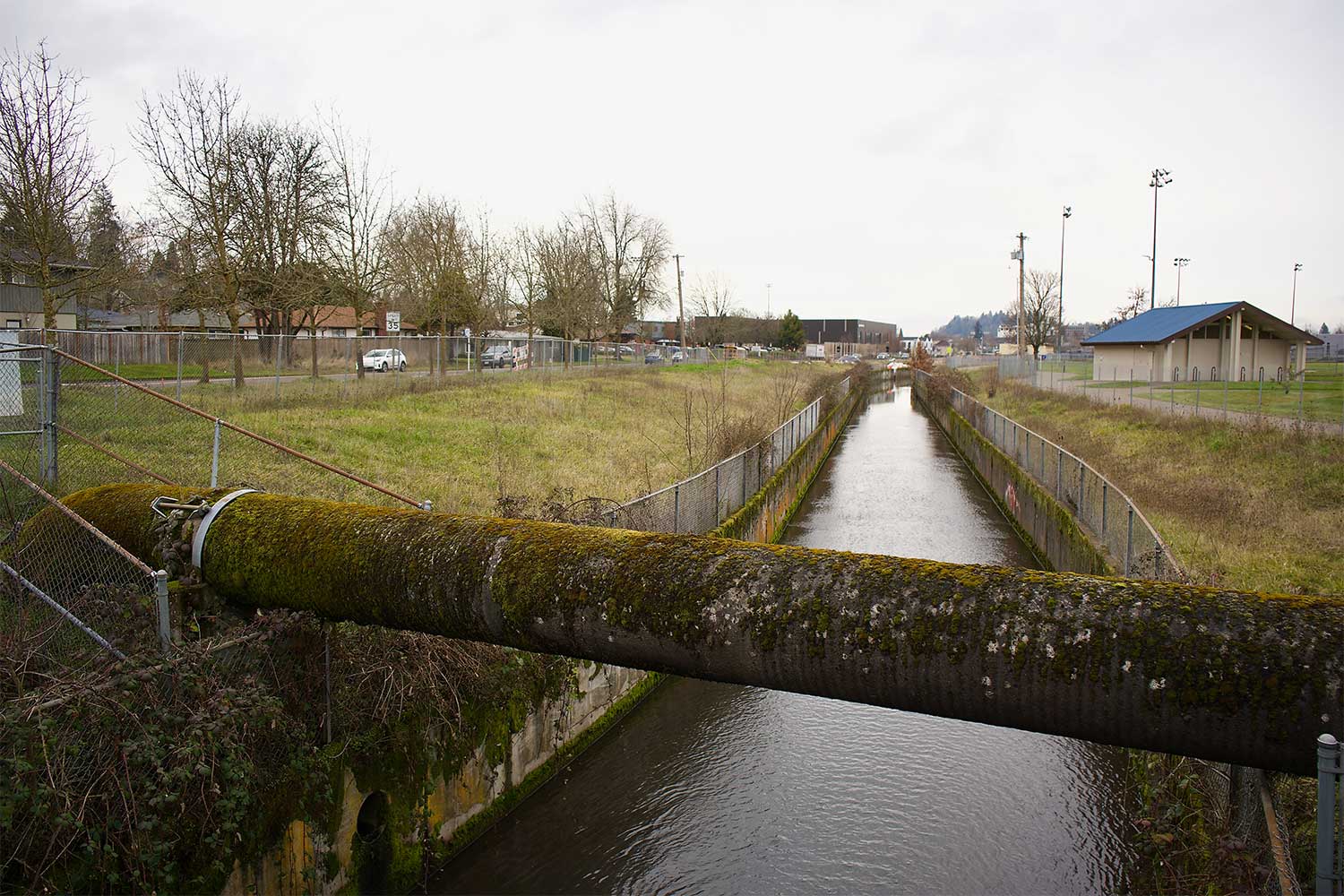 Amazon Creek Update – Eugene Weekly