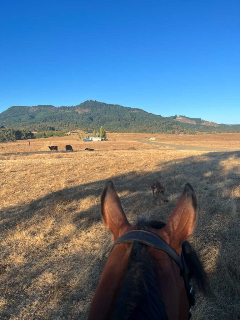 Travel Through Time to Mildred Kanipe Memorial Park – Eugene Weekly