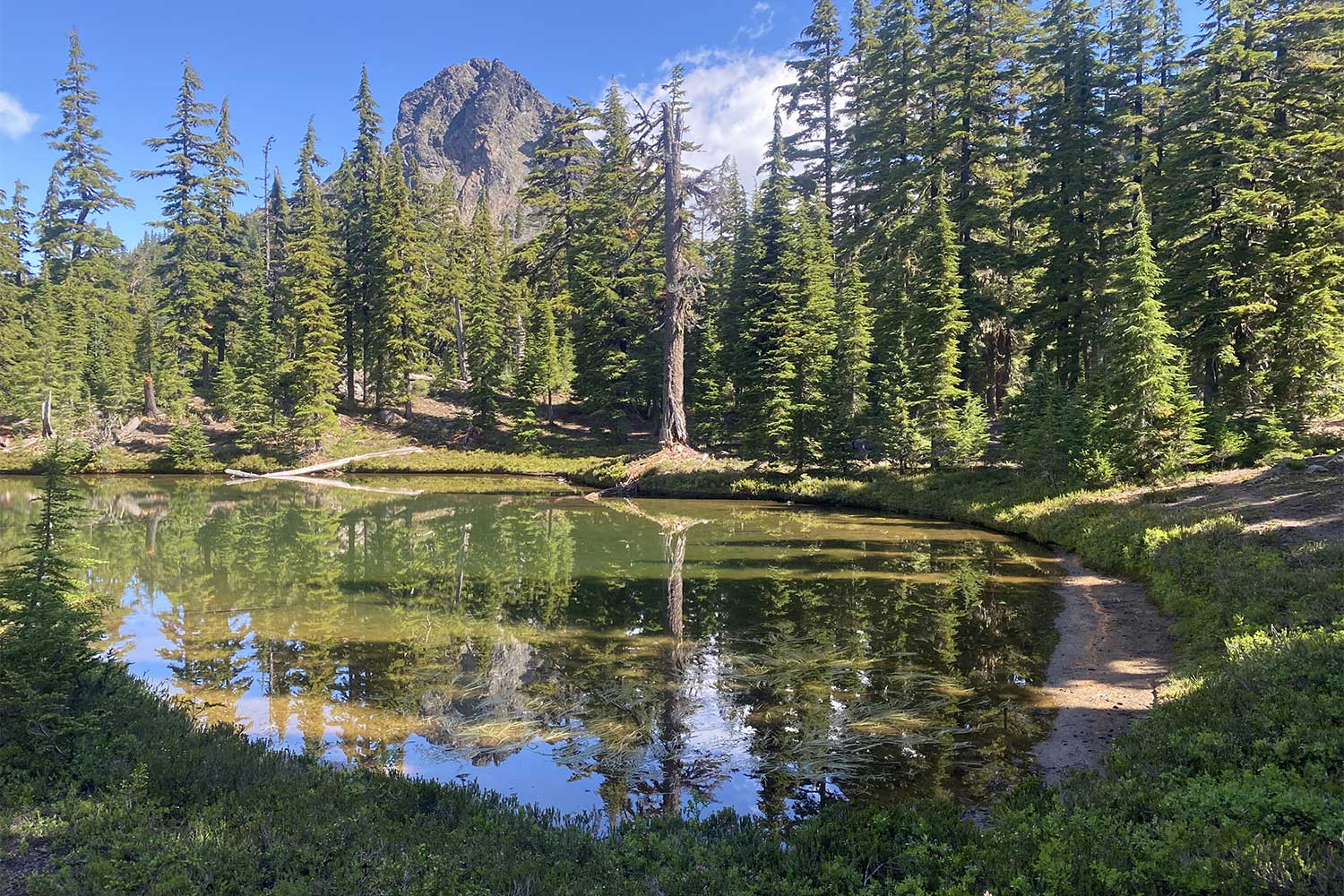 Diamond in the Rough – Eugene Weekly