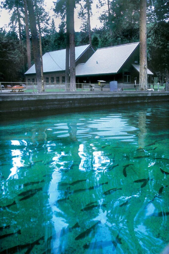 Magic River - Eugene Weekly
