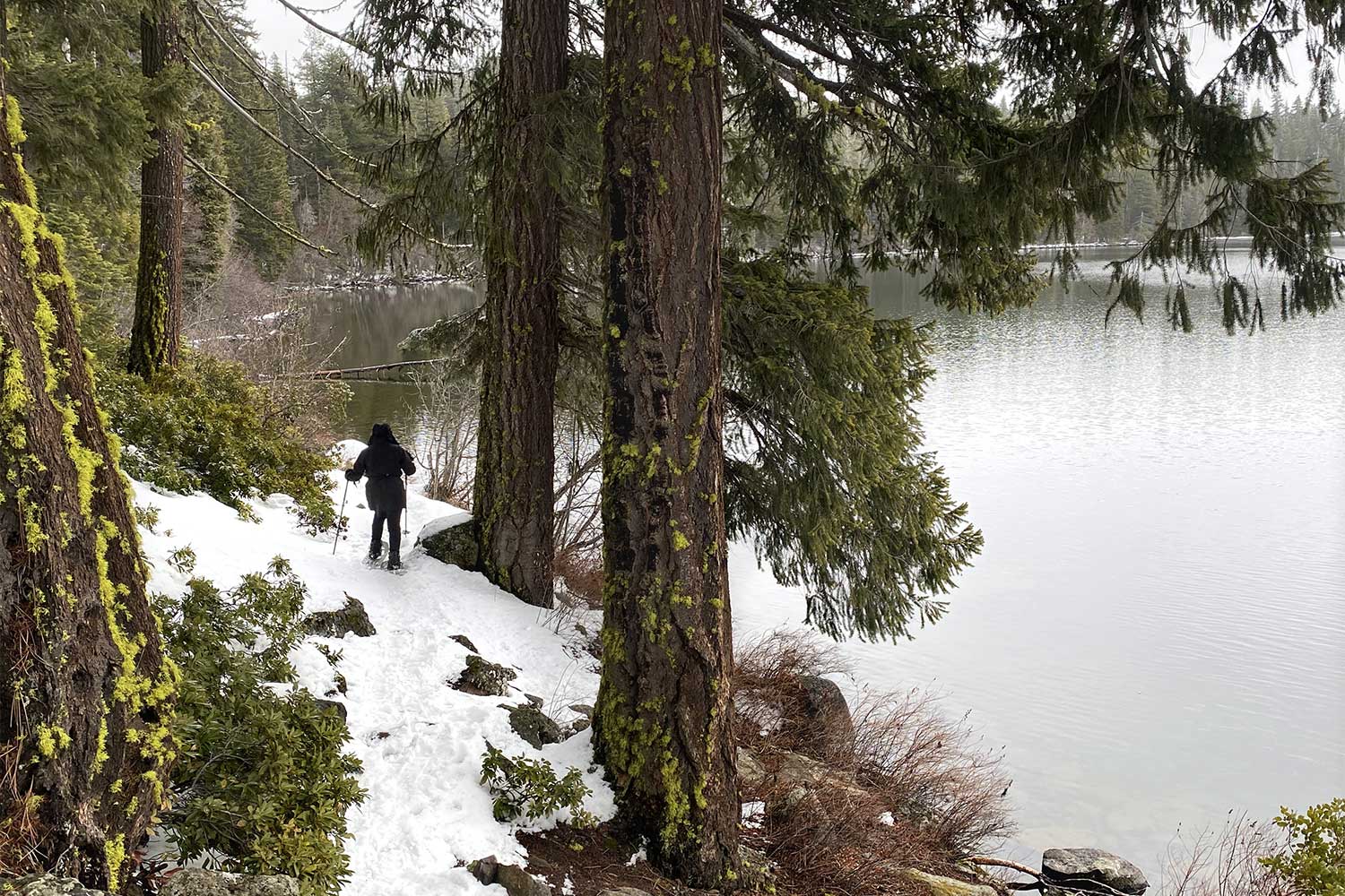 Ideal Lake Lodge - Eugene Weekly