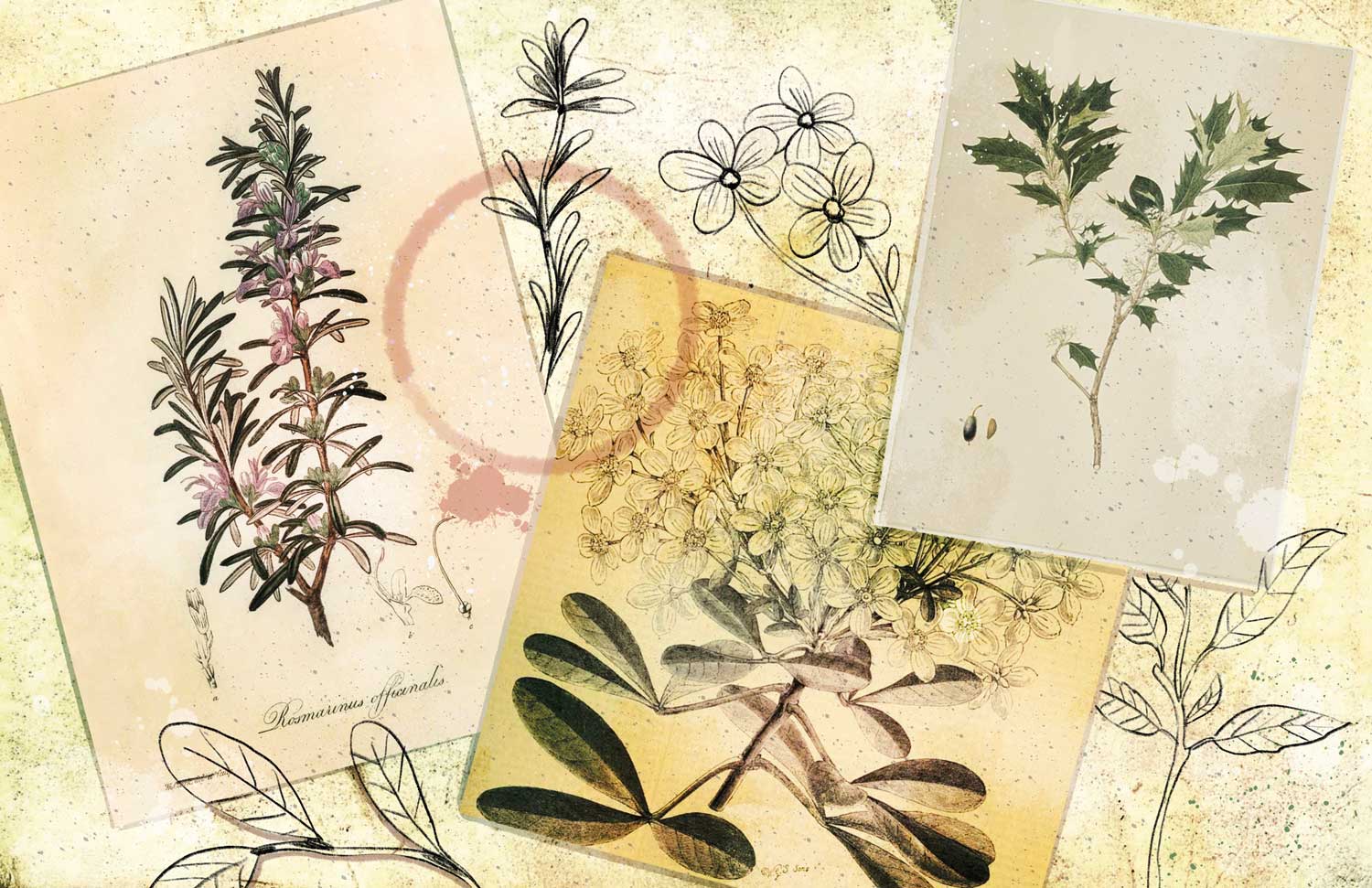 Make the Most of Winter! – Eugene Weekly