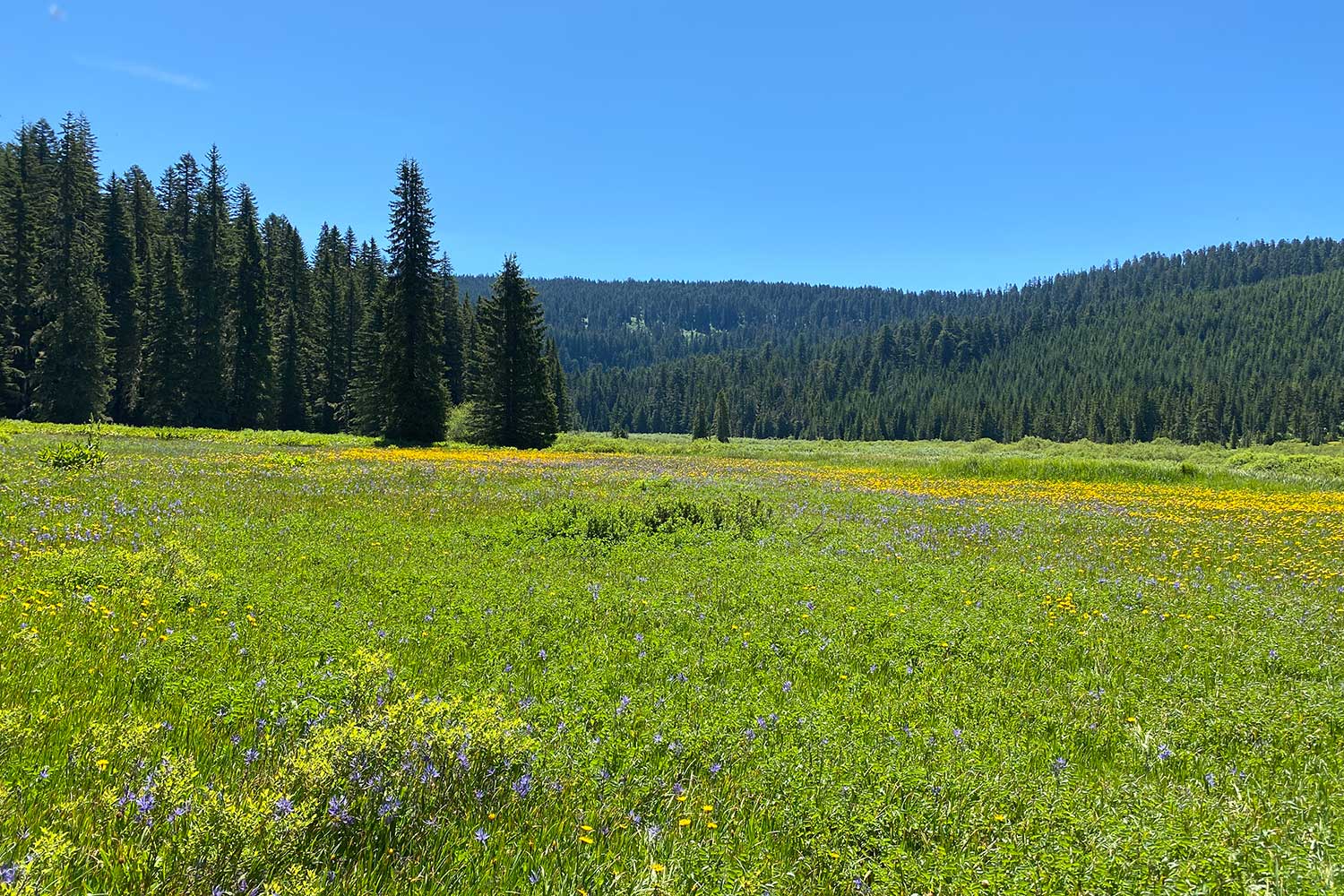 Gordon Lakes - Eugene Weekly